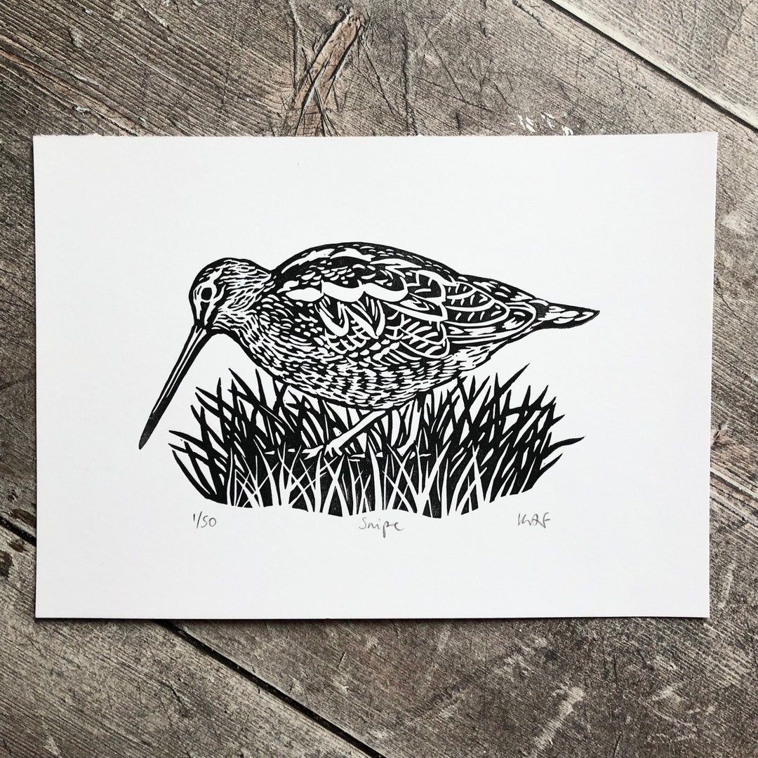 Snipe Linocut Print | Original Art | Handmade, Limited Edition - Etsy