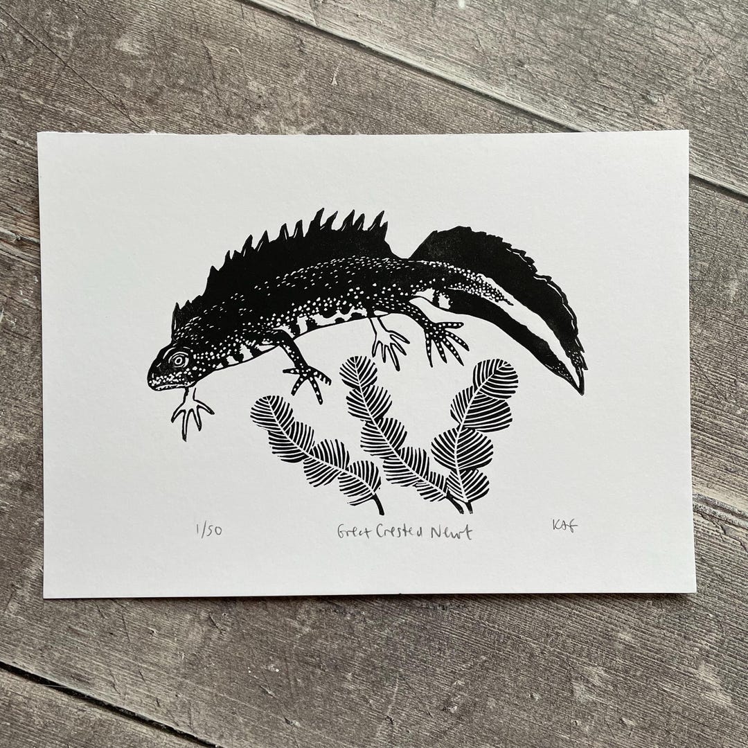 Great Crested Newt Linocut Print - Handmade, Limited Edition - Etsy
