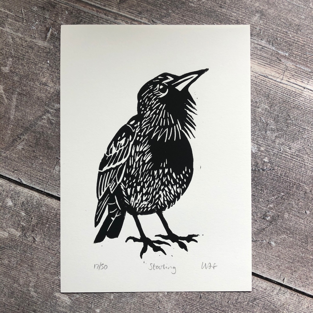 Starling Bird Linocut Print - Hand-pulled, Limited Edition - Etsy