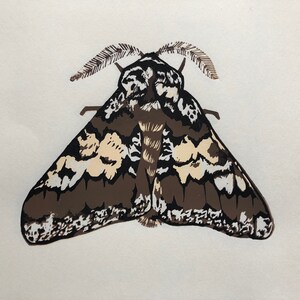 Oak Beauty Moth Print - Handmade, Limited Edition Linocut Print - Etsy