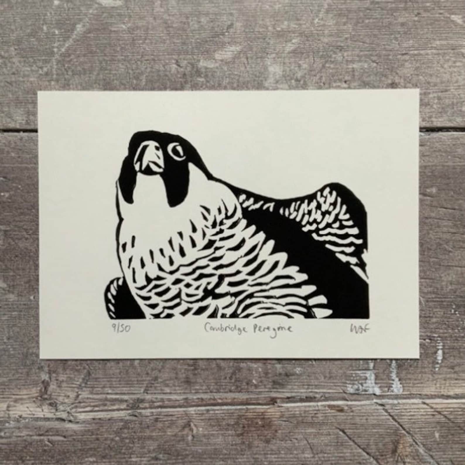 Peregrine Falcon Bird Linocut Print Hand-pulled Limited - Etsy UK