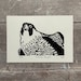 Peregrine Falcon Bird Linocut Print - Hand-pulled, Limited Edition ...