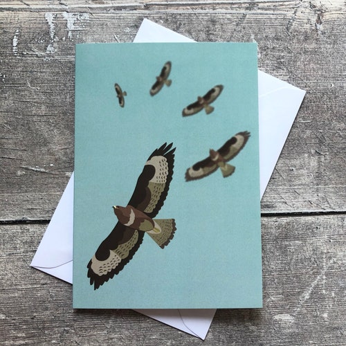 Buzzard Greeting Card Blank Inside Bird of Prey Greeting | Etsy