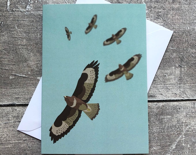 Buzzard Greeting Card Blank Inside Bird of Prey Greeting Card Hawk Card ...