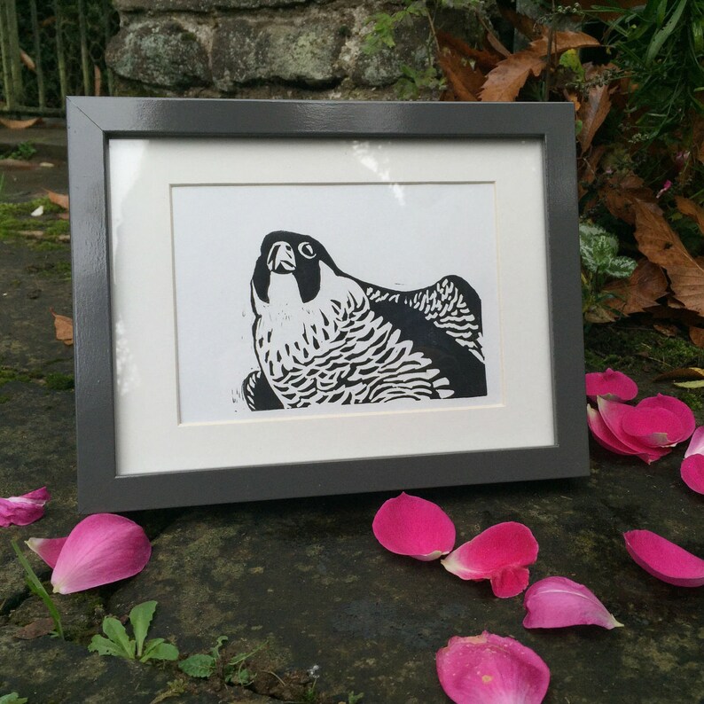 Peregrine Falcon bird linocut print hand-pulled limited | Etsy