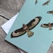 Buzzard Greeting Card Blank Inside Bird of Prey Greeting - Etsy