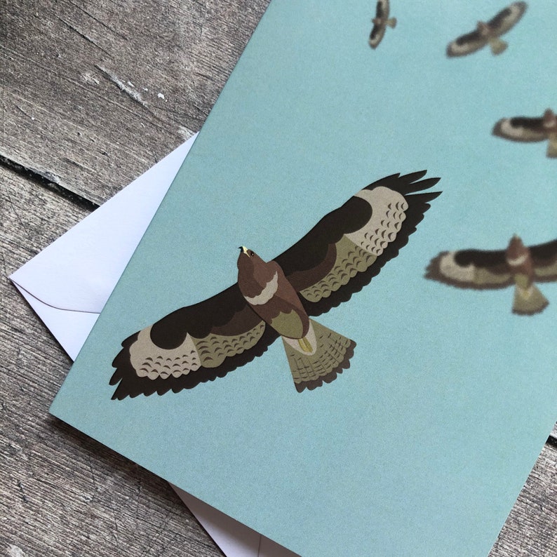 Buzzard Greeting Card – Blank Inside | Bird of Prey Greeting Card ...