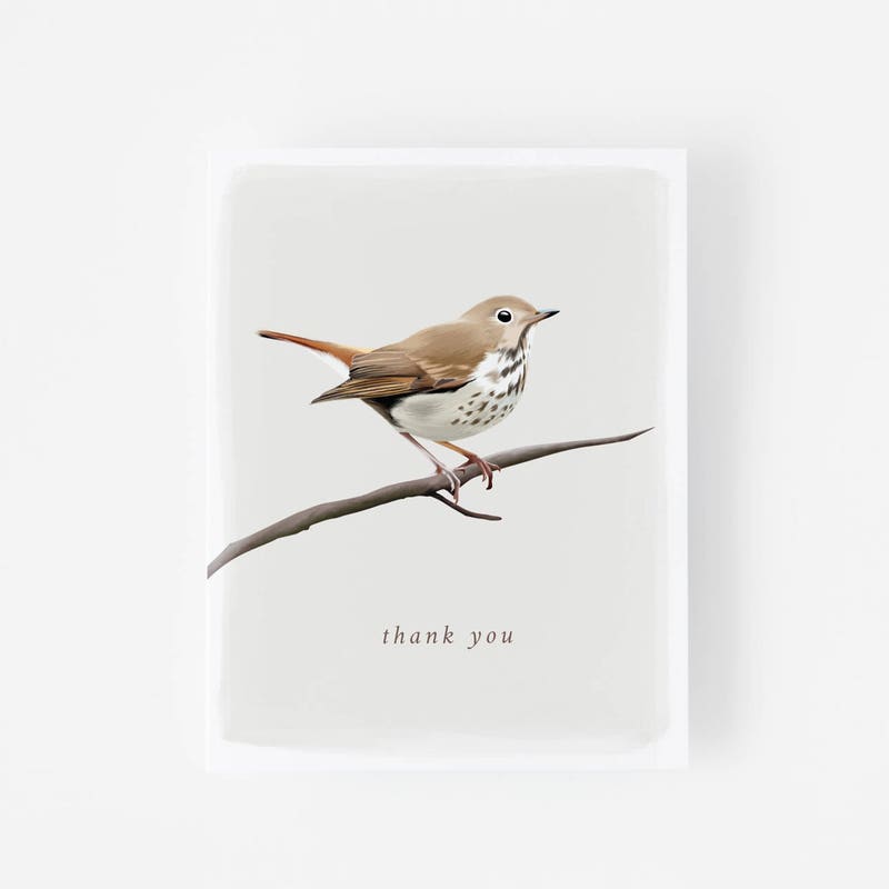 Bird Thank You - Etsy
