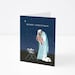 Set of 6 Nativity Christmas Cards Christian Christmas Cards Christmas ...