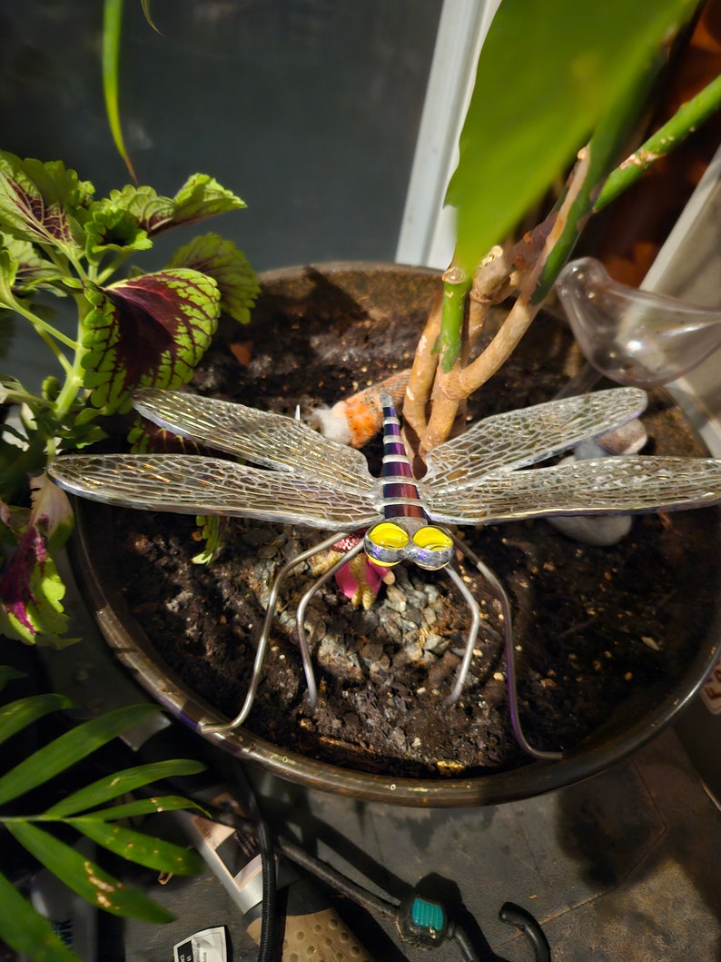 Standing Stained Glass Dragonfly With Legs for Desktop or Display - Etsy