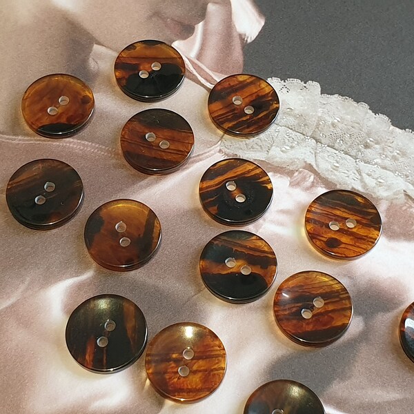 Tortoise Shell - Etsy