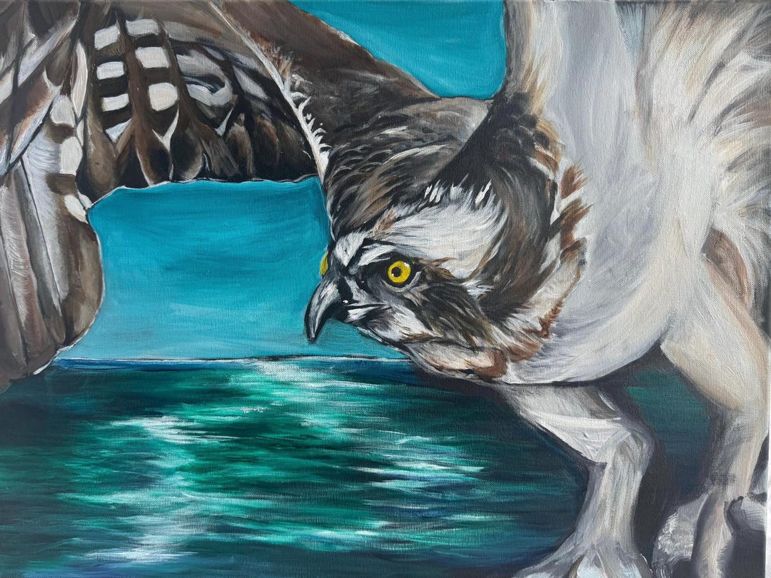 Falcon in Flight ~ Wildlife Painting, Falcon Painting, Falcon Art, Bird ...