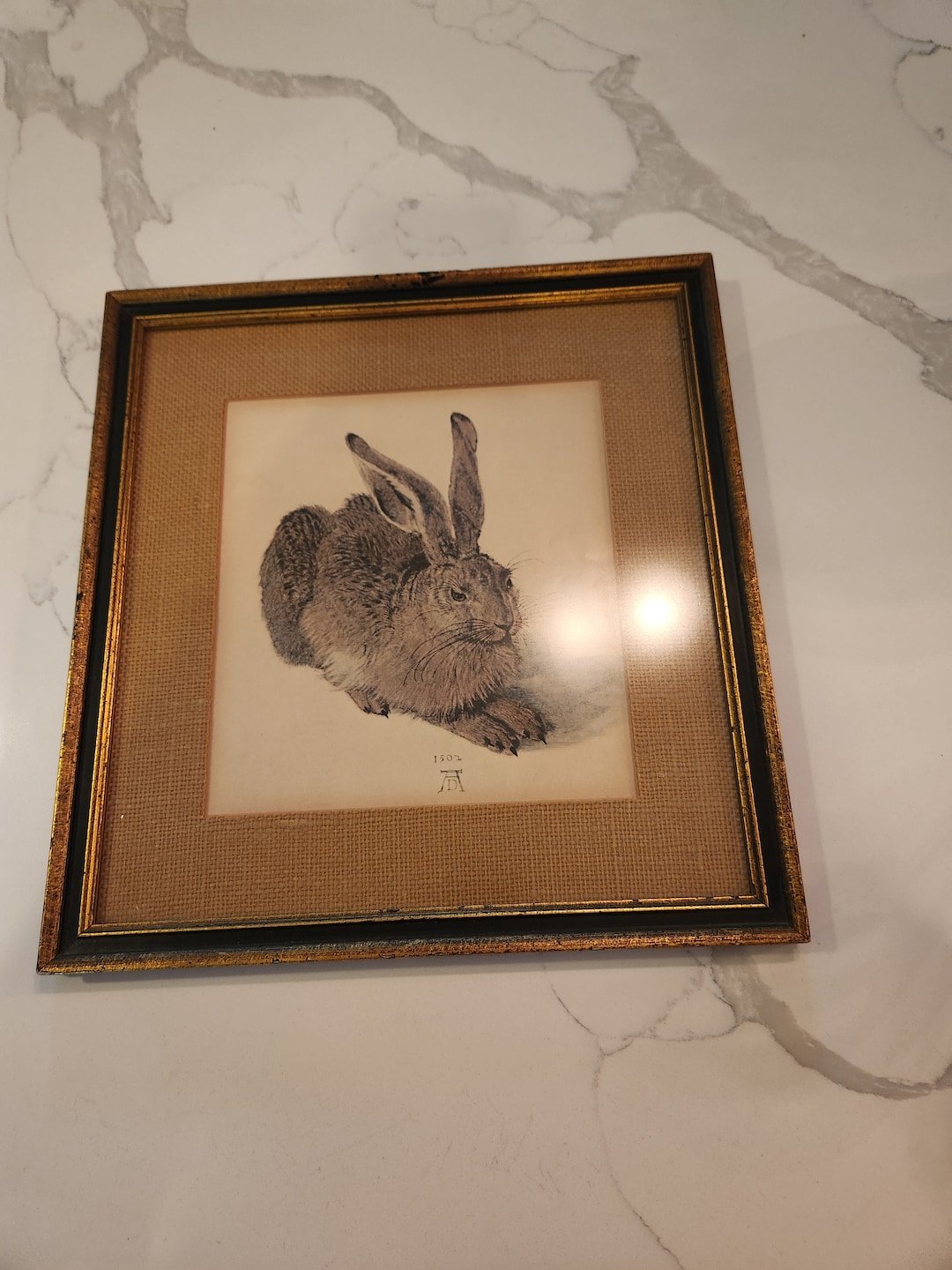 Albrecht Durer Lithograph "young Hare 1502 " the Rabbit Wood Framed ...