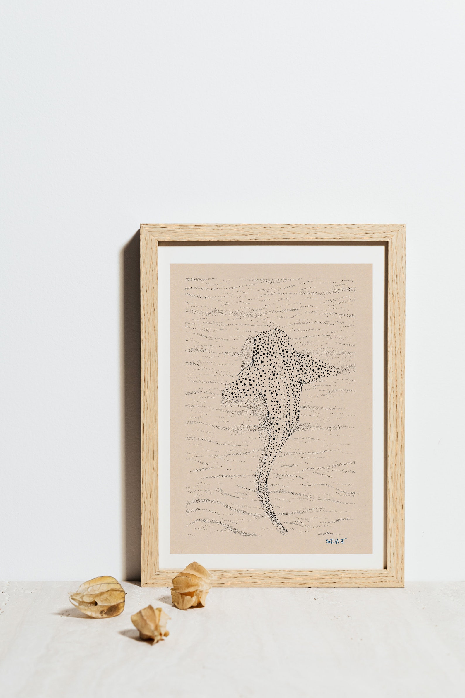 Zebra Shark Dot Illustration - Etsy