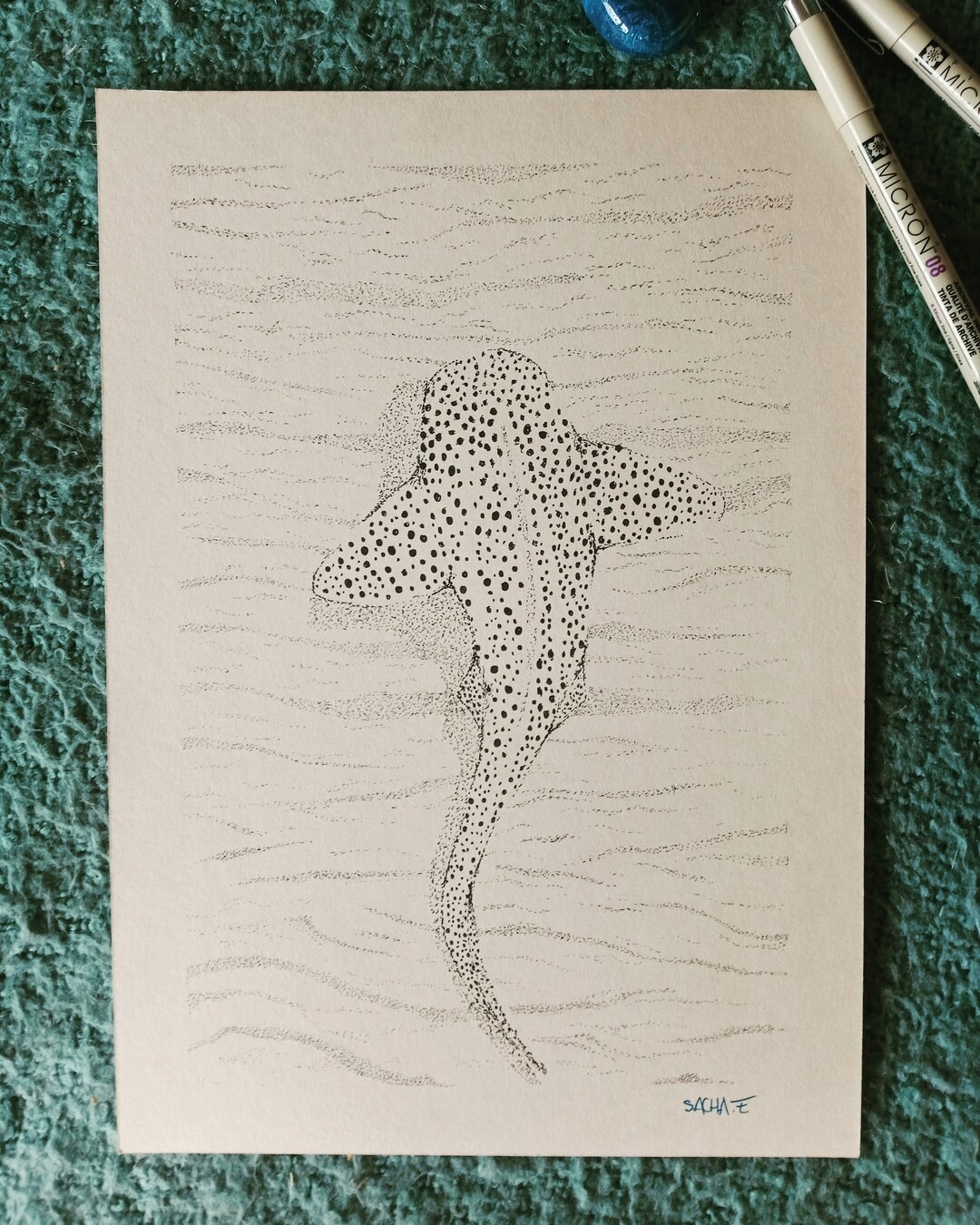Zebra Shark Dot Illustration - Etsy