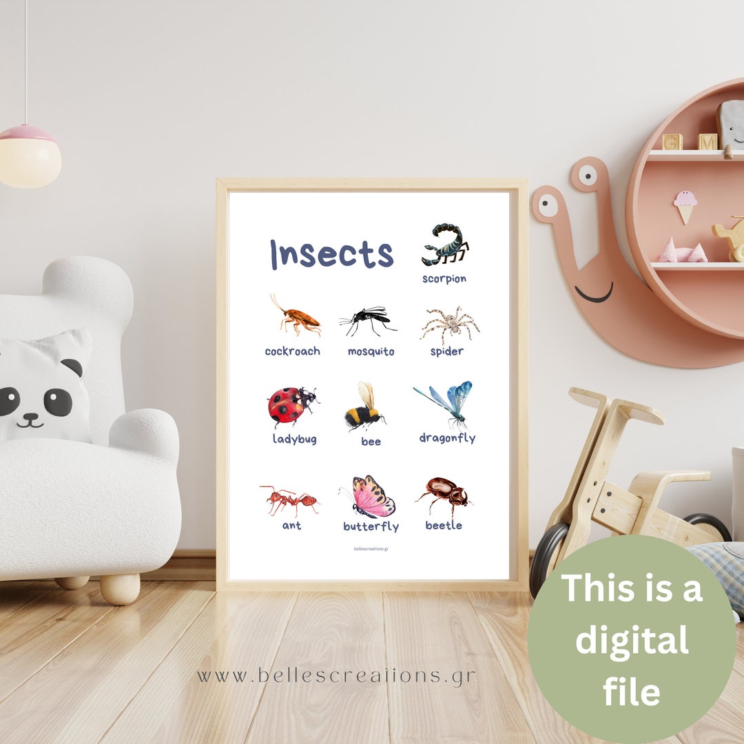 Watercolor Insects Posters in English Language Downloadable Prints ...