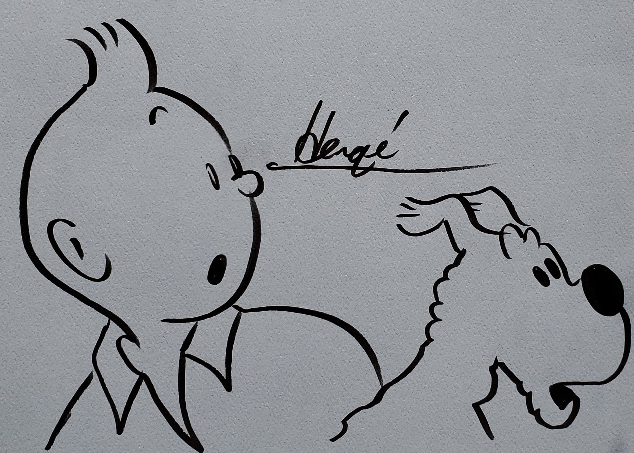 Adventures of TINTIN Herge Art TIN TIN Drawing Georges Remi Ink Drawing ...