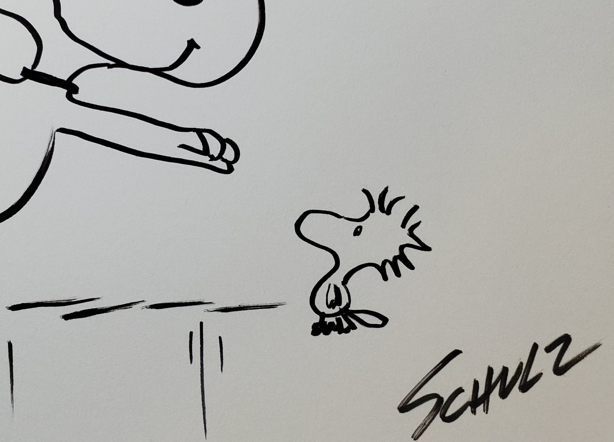 Snoopy Woodstock Character Drawing, Charlie Brown Artwork, Peanuts ...