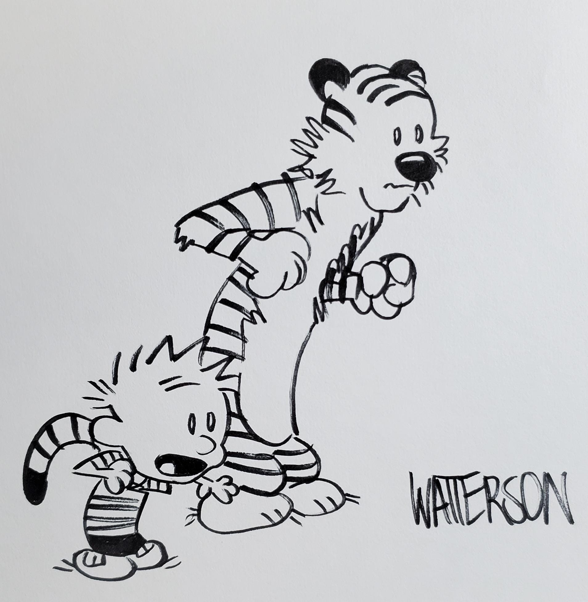 Calvin and Hobbes, Ink Drawing, Artwork, Comics, Cartoon Illustration ...