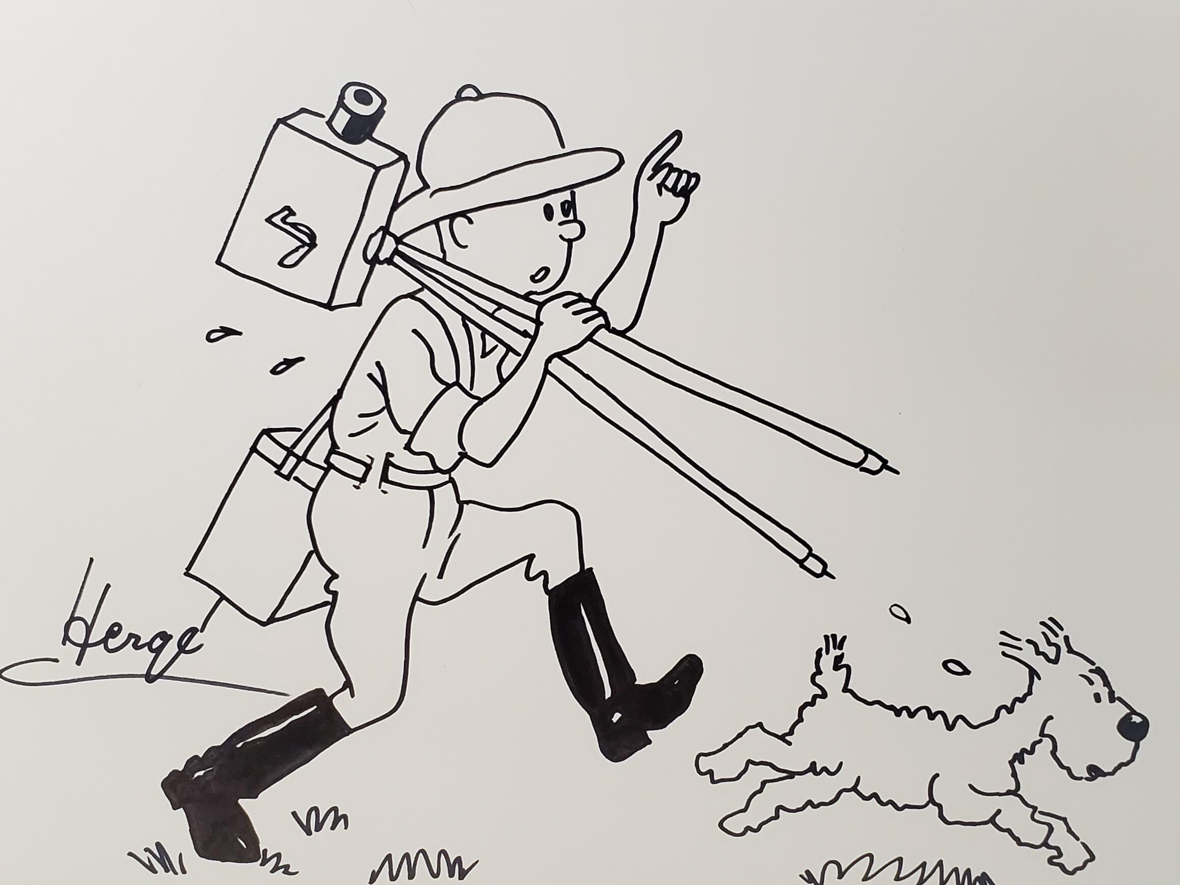 Adventures of TINTIN - Herge Art TIN TIN Drawing - Georges Remi Ink ...