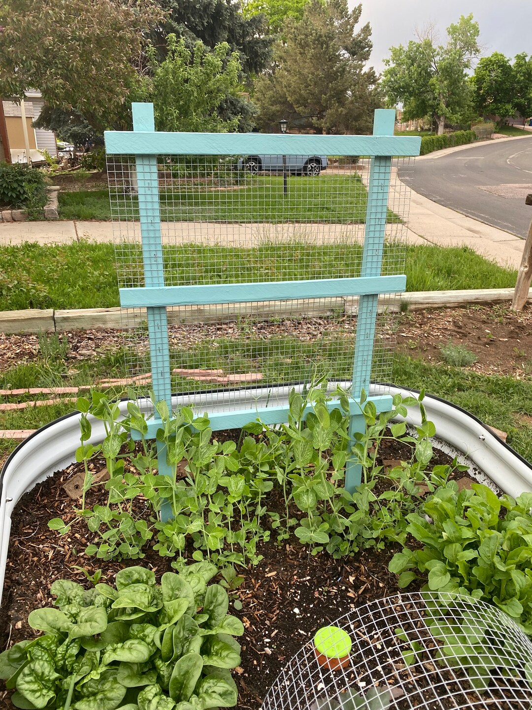 Easy Trellis DIY Build Plan Instructions - Tomato Stake or Peas ...