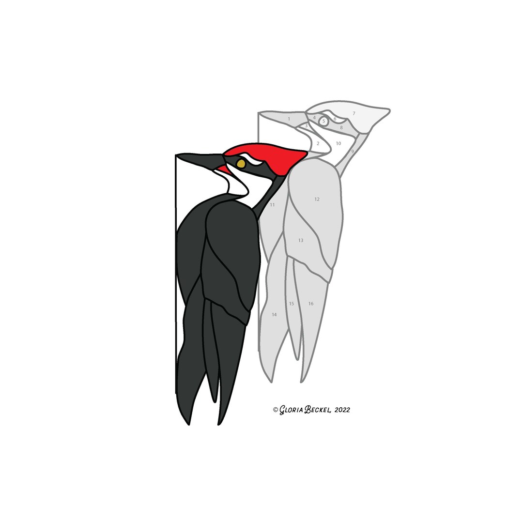 Pileated Woodpecker Hobby License Beginner to Intermediate Stained ...