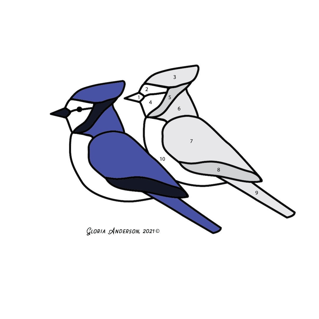 Blue Jay Hobby License Beginner Stained Glass Pattern - Bluejay Tiffany ...