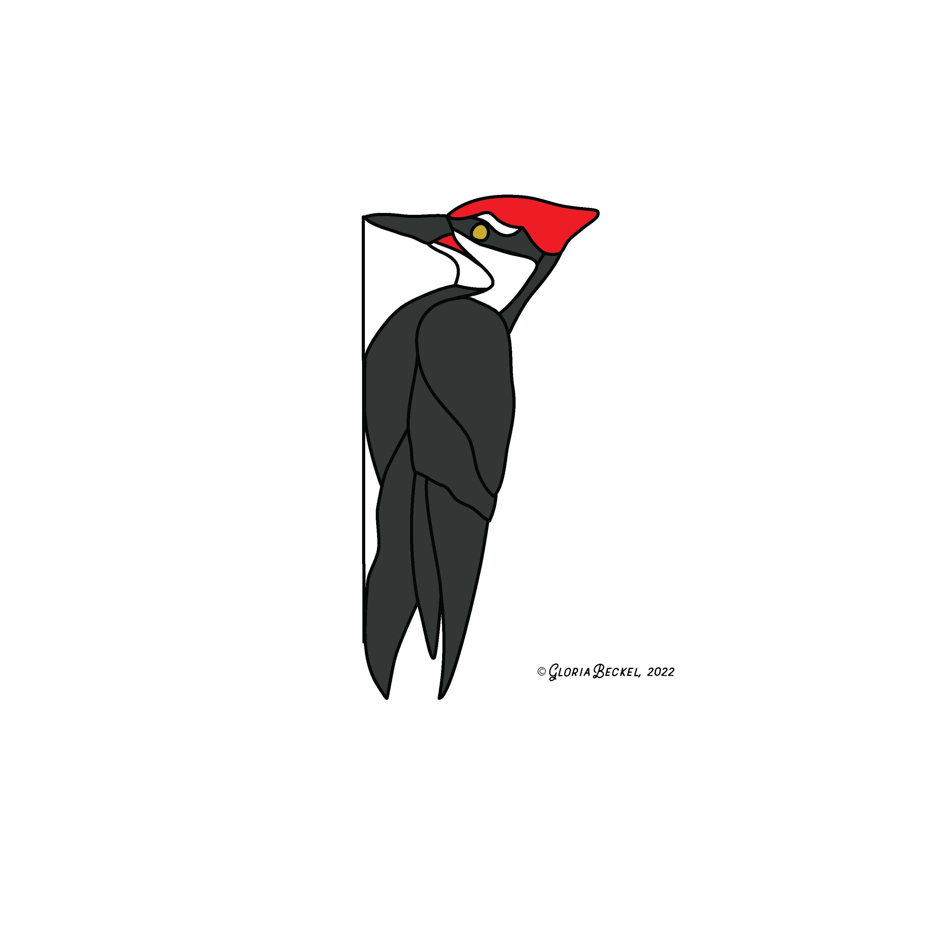 Pileated Woodpecker Hobby License Beginner to Intermediate Stained ...
