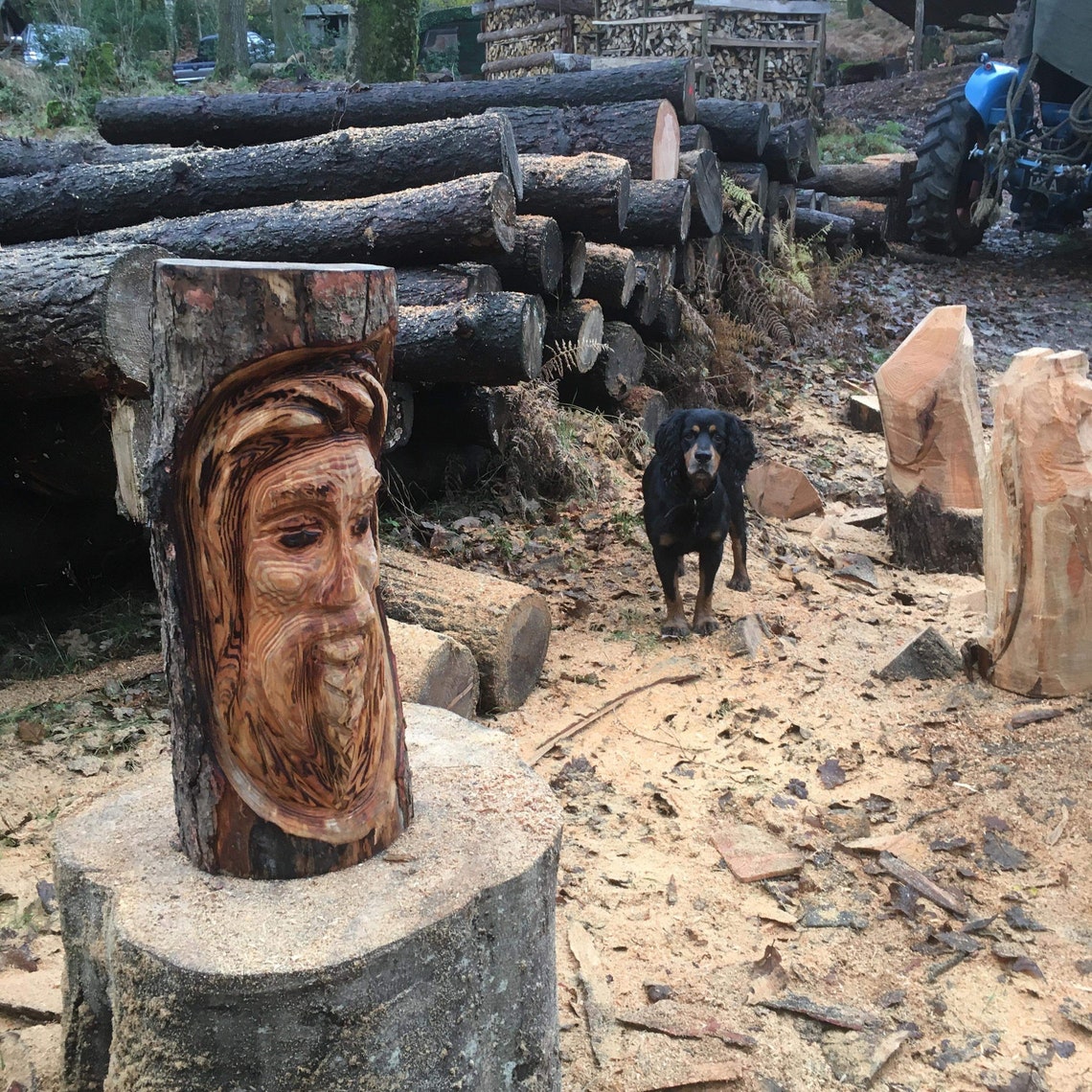 Chain Saw Carved Greenman, Tree Spirit, Wizard Face - Etsy UK