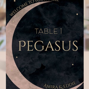 Moon and Stars Table Name Number Cards, Celestial Wedding Theme Decor ...