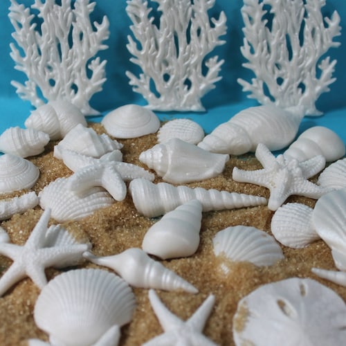Fondant 30 Sea Shells Edible Sugar Cake Cupcake Topper Ocean - Etsy