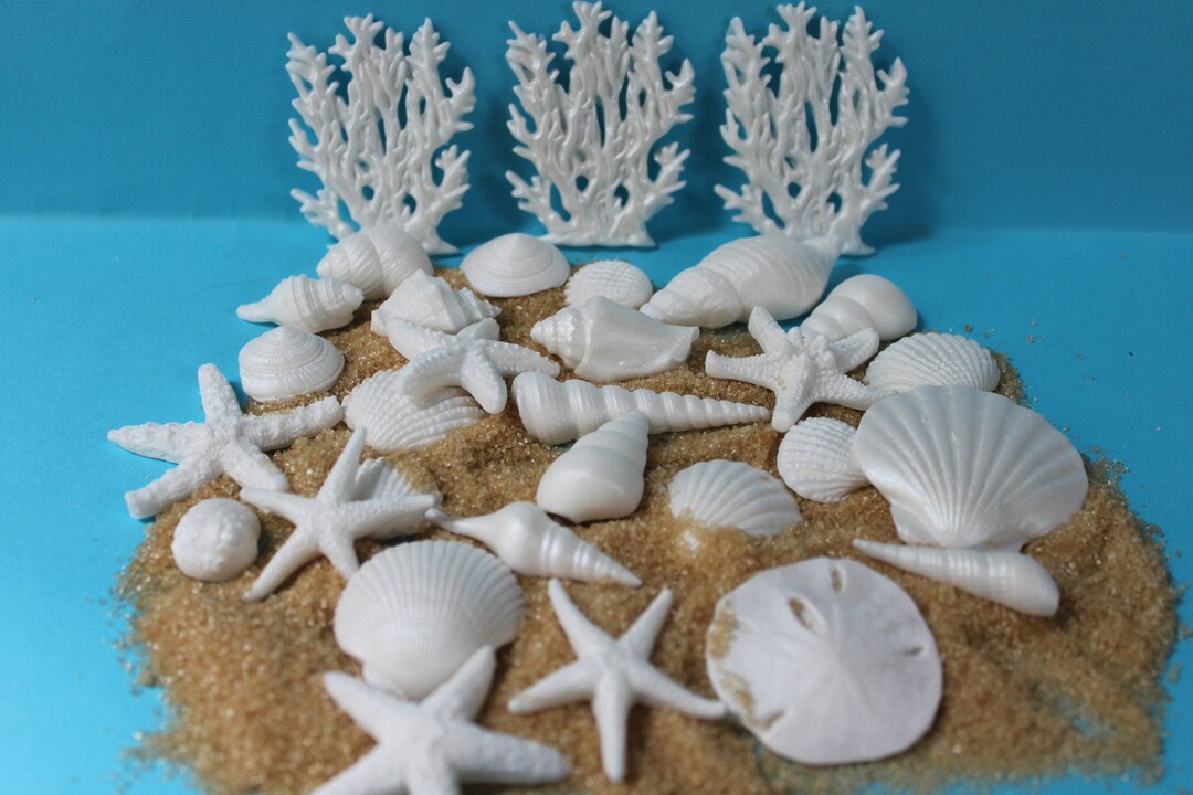 Fondant Gum Paste Sea Shells/cake Topper/wedding Cake/ocean Themed Cake ...