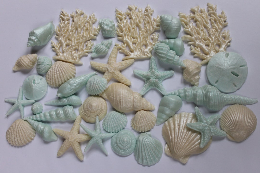 Fondant Gum Paste Sea Shells/cake Topper/wedding Cake/ocean Themed Cake ...
