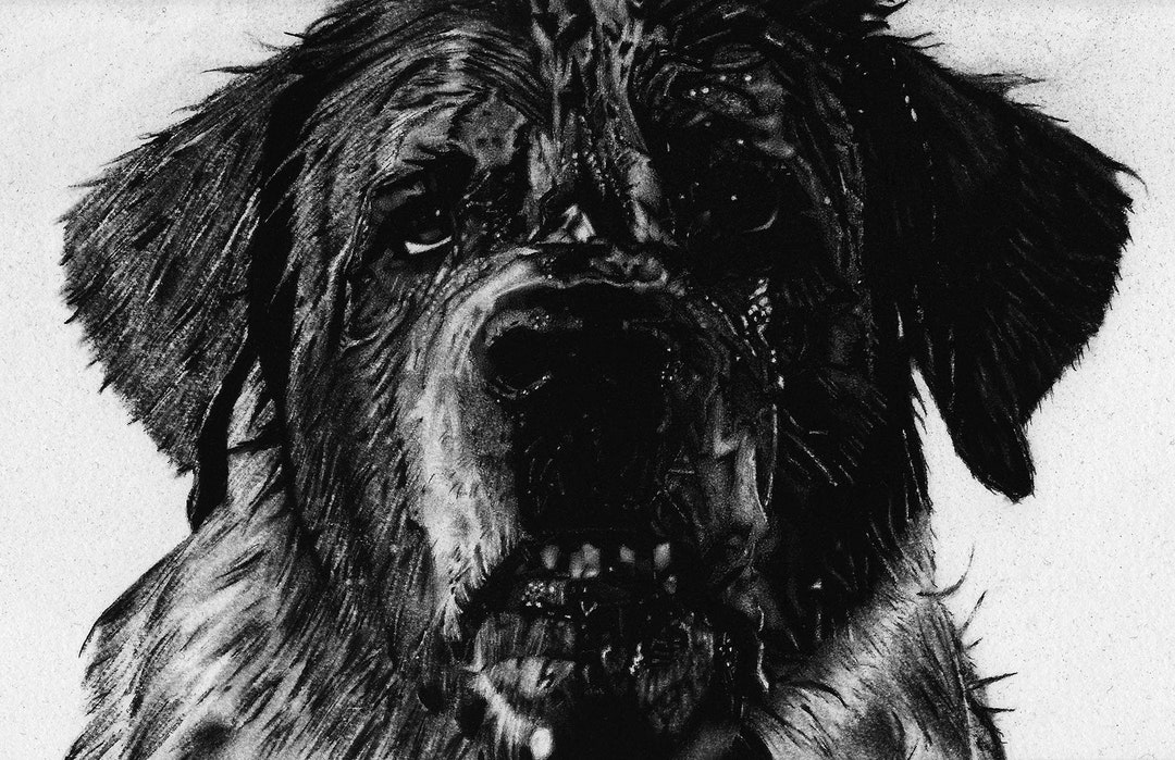 Cujo 11x17 Art Print - Etsy
