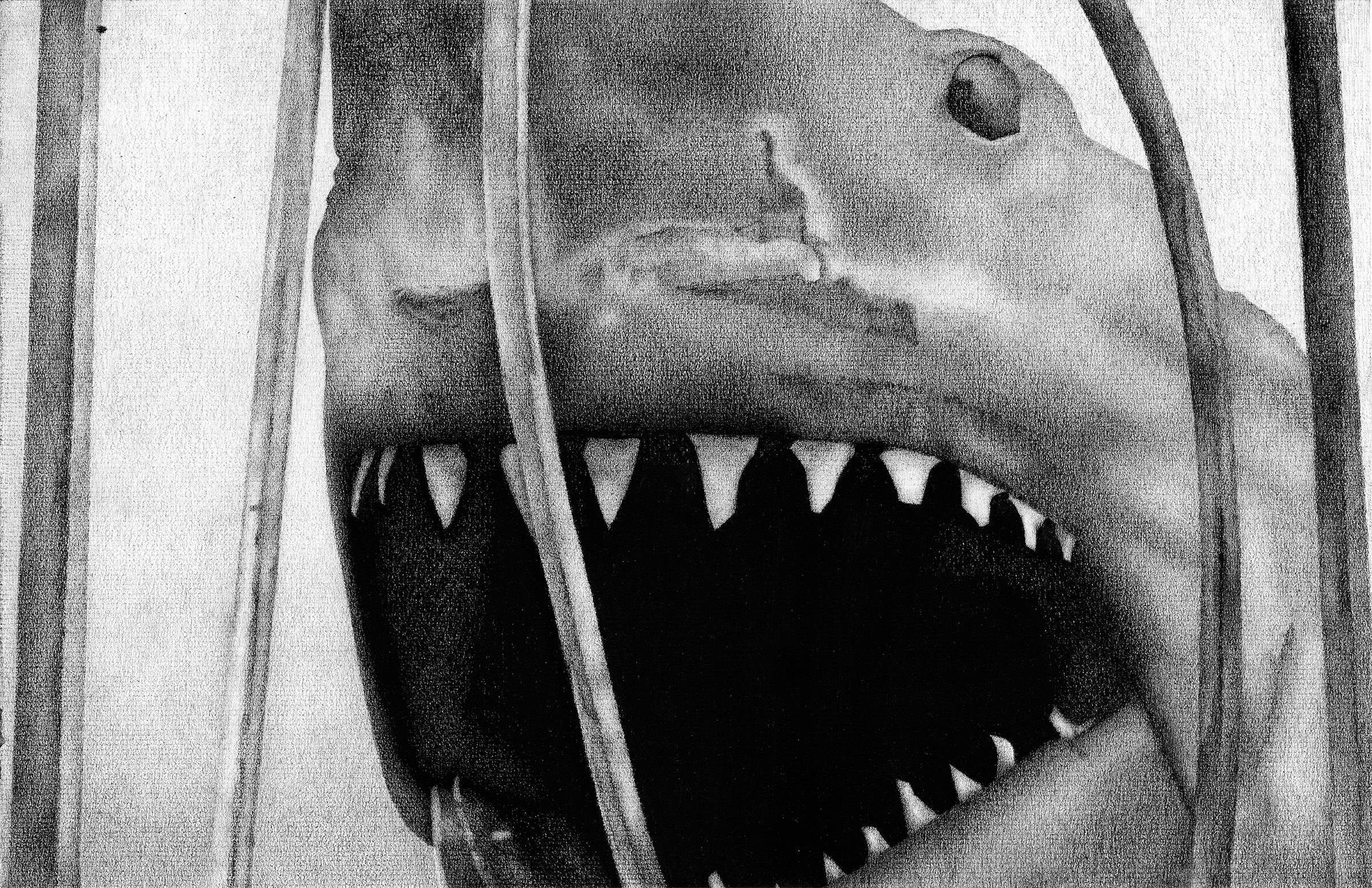 Jaws 11x17 Art Print | Etsy