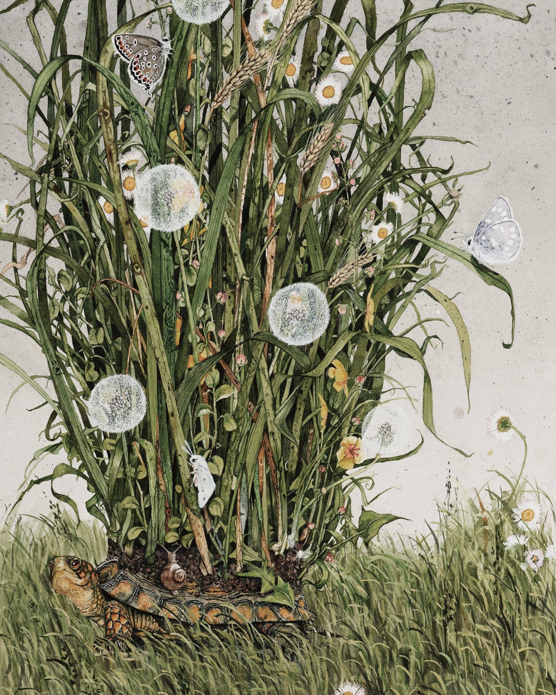 Watercolor Print, "stray Sod" by Maggie Vandewalle, 8" X 10" Matted to ...