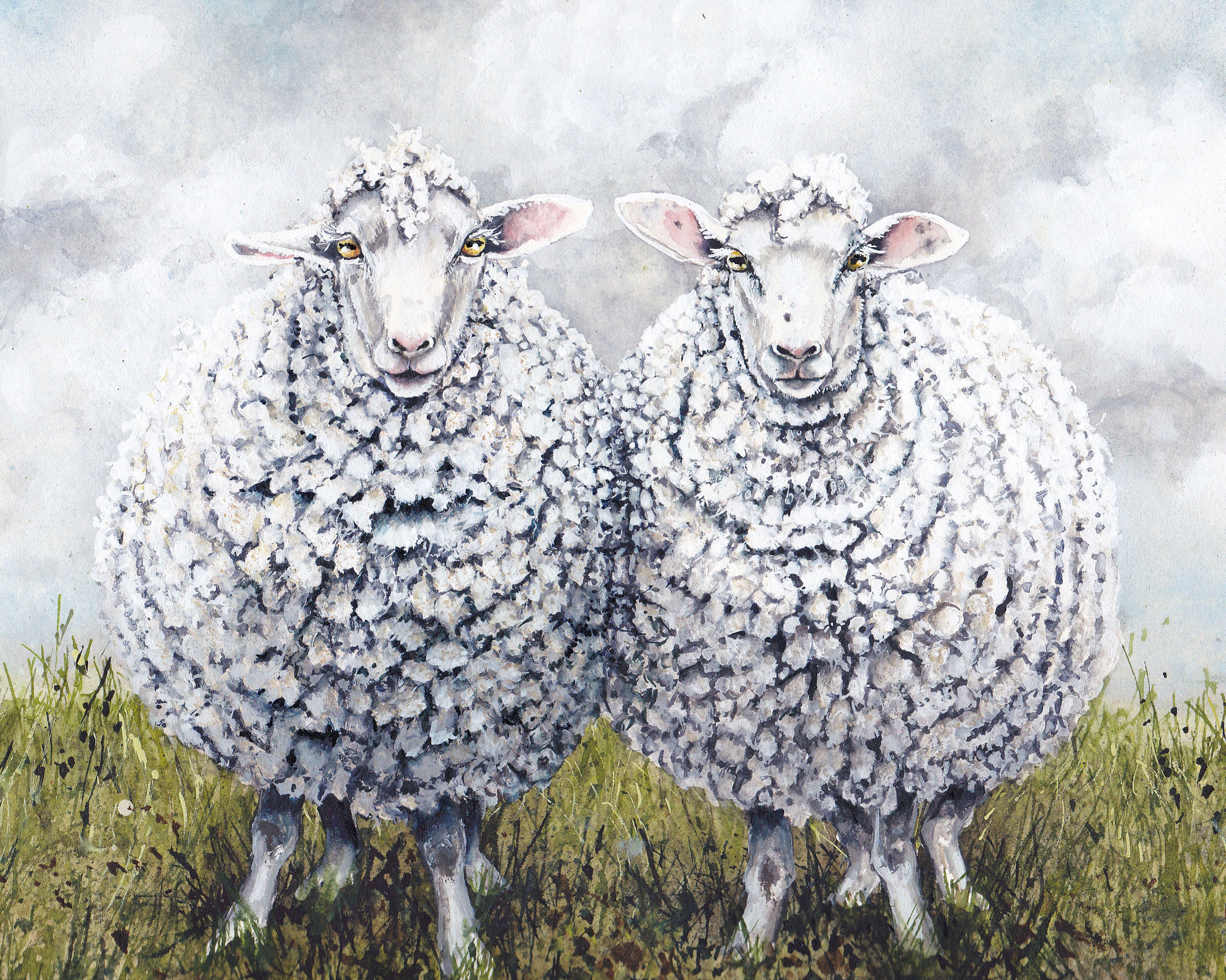 Sheep Colors - 62 фото