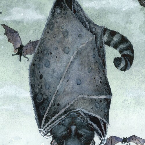 Greeting Card gadabout Maggie Vandewalle 5 - Etsy