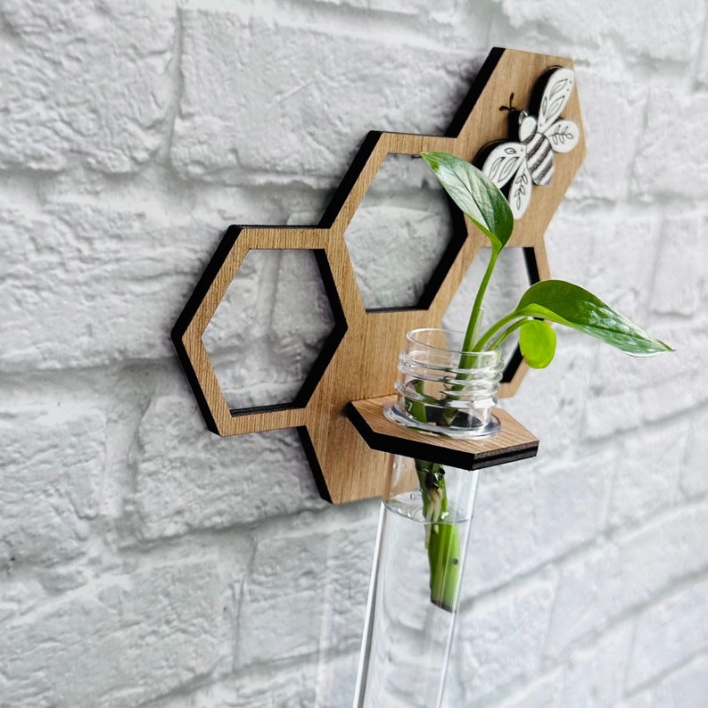 Honeycomb and Bee Propagation, Gift for Plant Lover, Hanging Plant ...