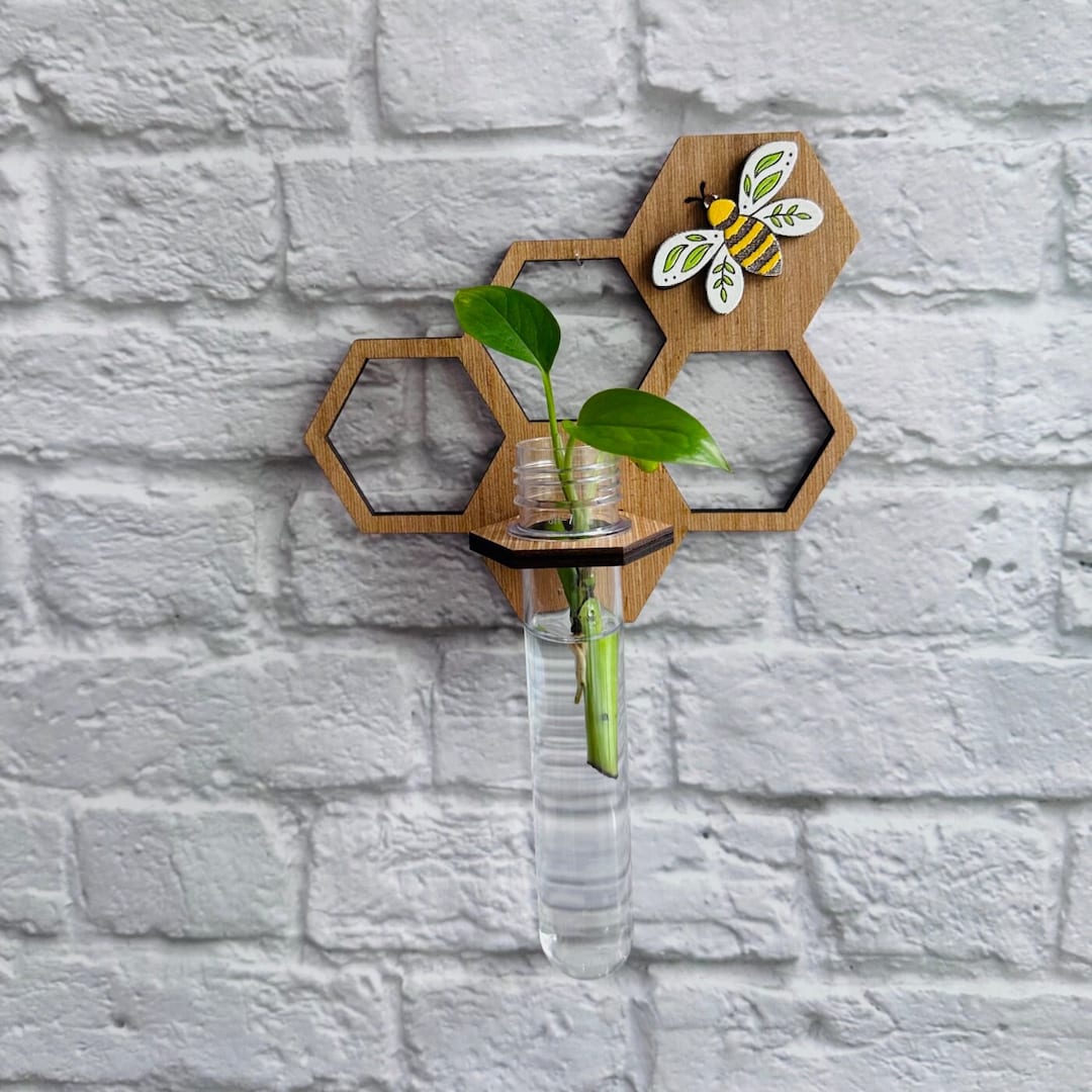Honeycomb and Bee Propagation, Gift for Plant Lover, Hanging Plant ...