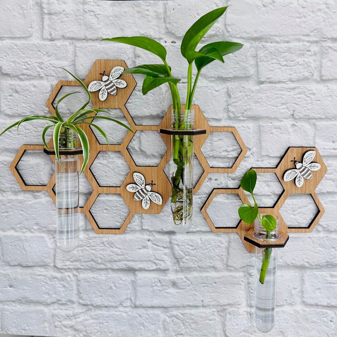 Honeycomb and Bee Propagation, Gift for Plant Lover, Hanging Plant ...
