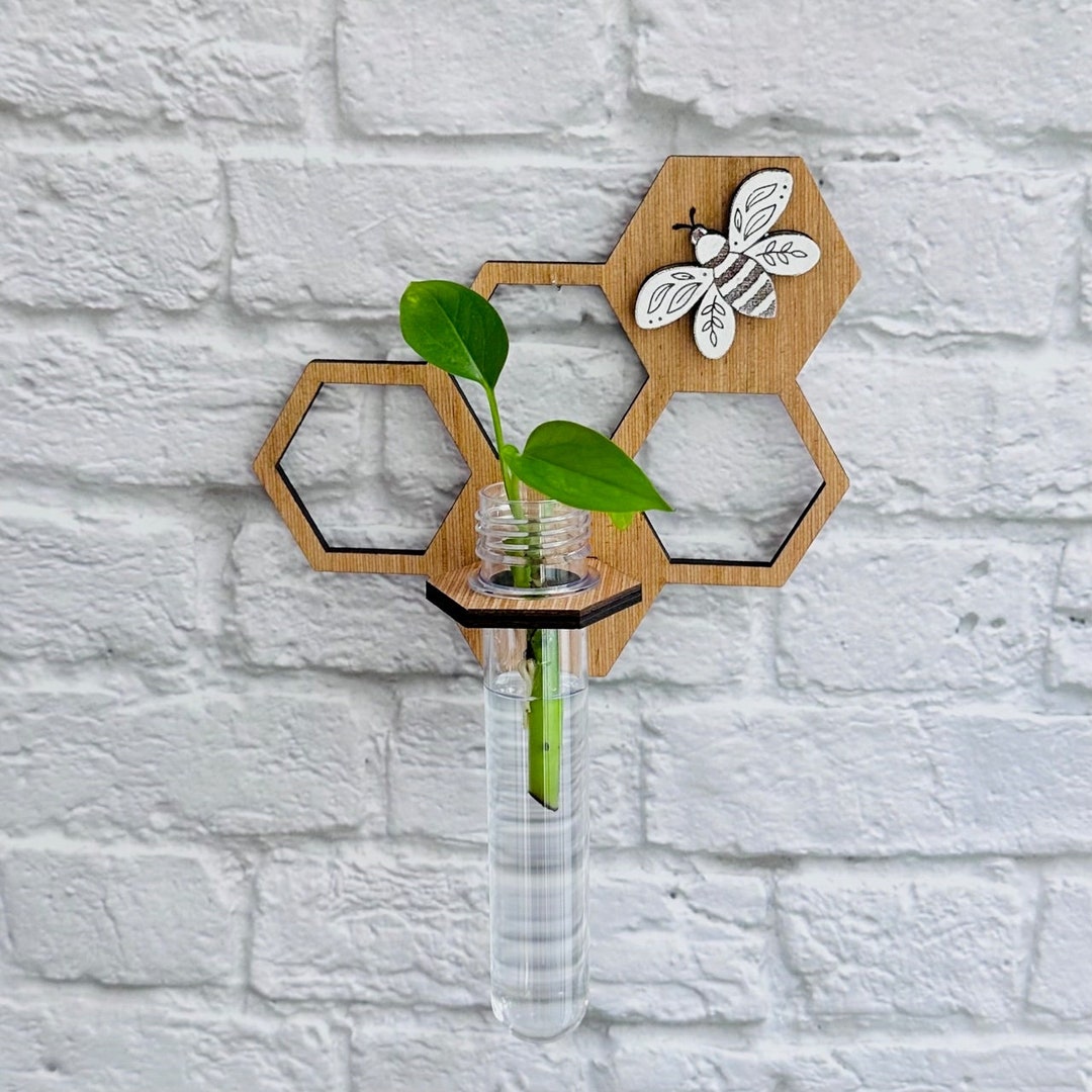 Honeycomb and Bee Propagation, Gift for Plant Lover, Hanging Plant ...