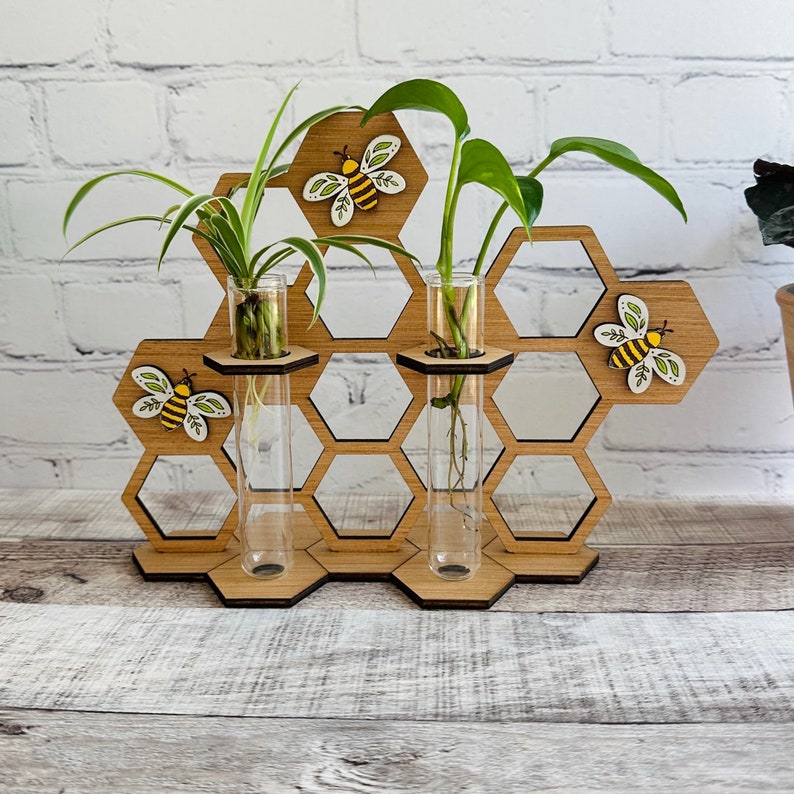 Plant Propagation Station Honeycomb and Bee Design Gift for - Etsy