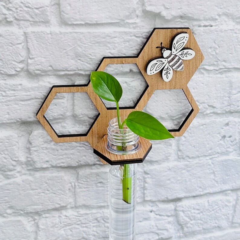 Honeycomb and Bee Propagation, Gift for Plant Lover, Hanging Plant ...