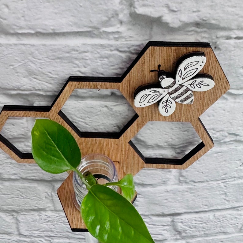 Honeycomb and Bee Propagation, Gift for Plant Lover, Hanging Plant ...