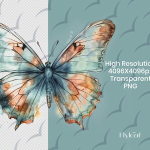 Boho Butterfly PNG Bundle for Commercial Use, 11 Butterfly Clipart ...