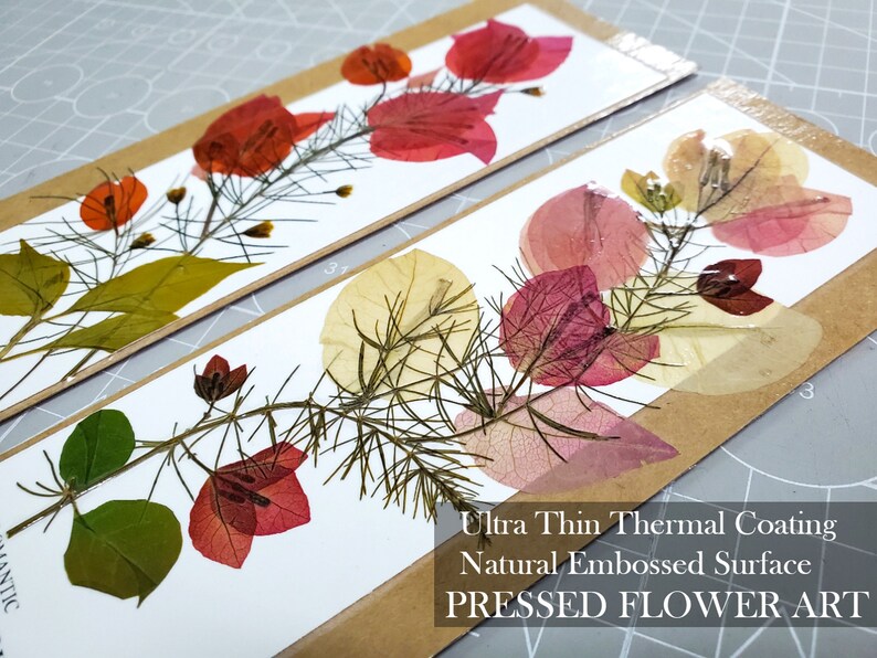 Peach & Pastel Pink Pressed Flower Bookmark Set of 2 REAL - Etsy