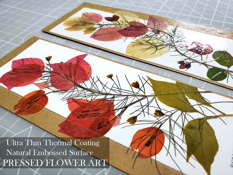 Peach & Pastel Pink Pressed Flower Bookmark Set of 2 REAL - Etsy