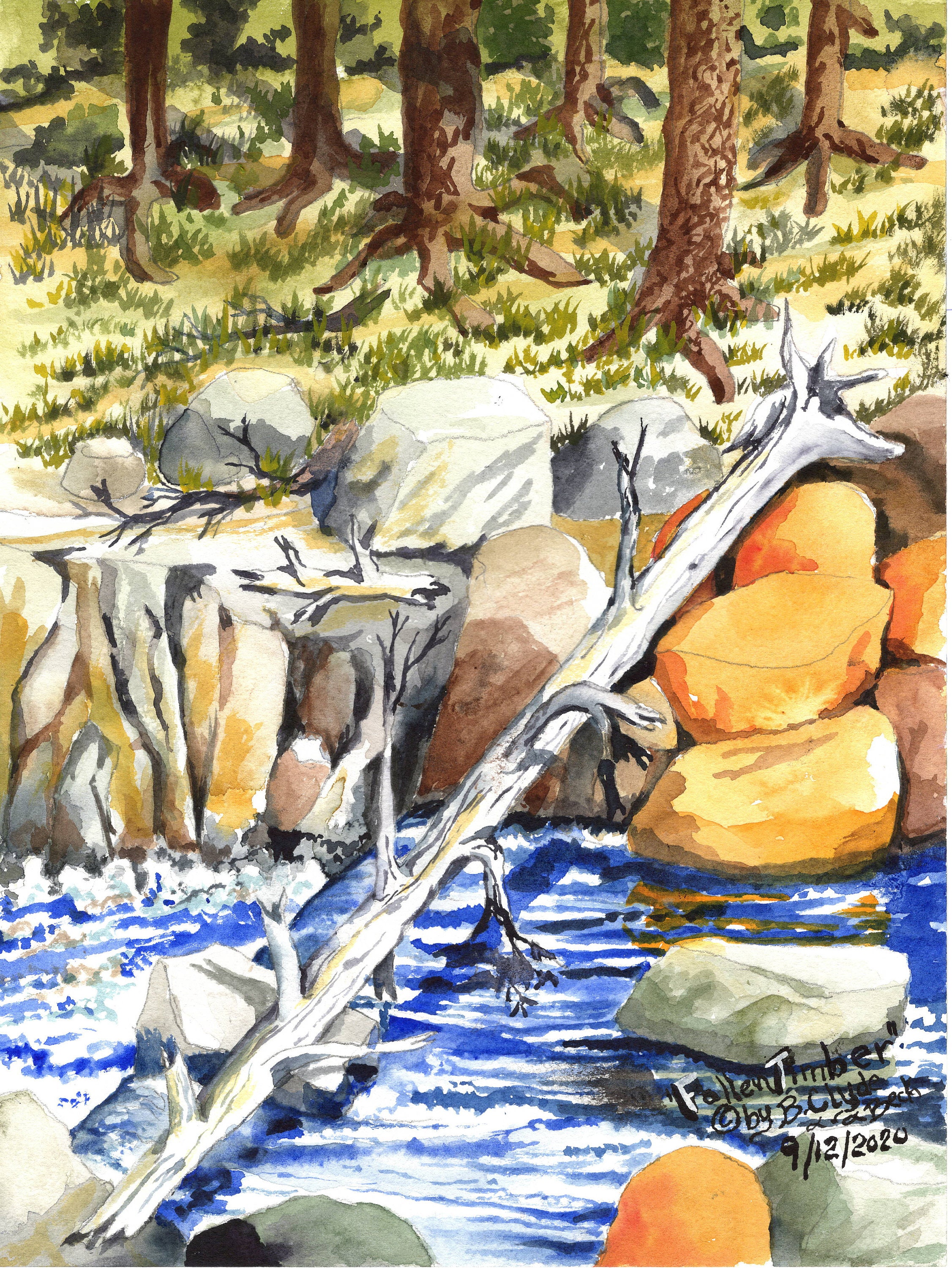 Print of Original Watercolor fallen Timber Unframed 8 1/2 X 11 Inches ...