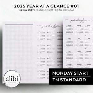 Standard TN 2025 Year at a Glance Planner Dashboard Printable Calendar ...